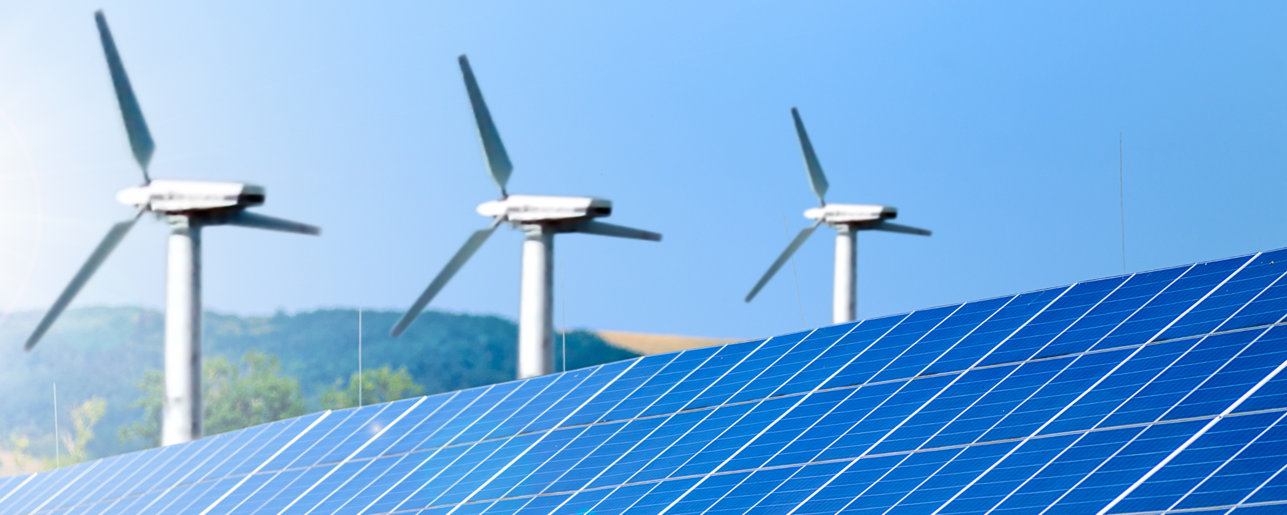 Renewable Energy Predictions for 2024 · Mint Selection